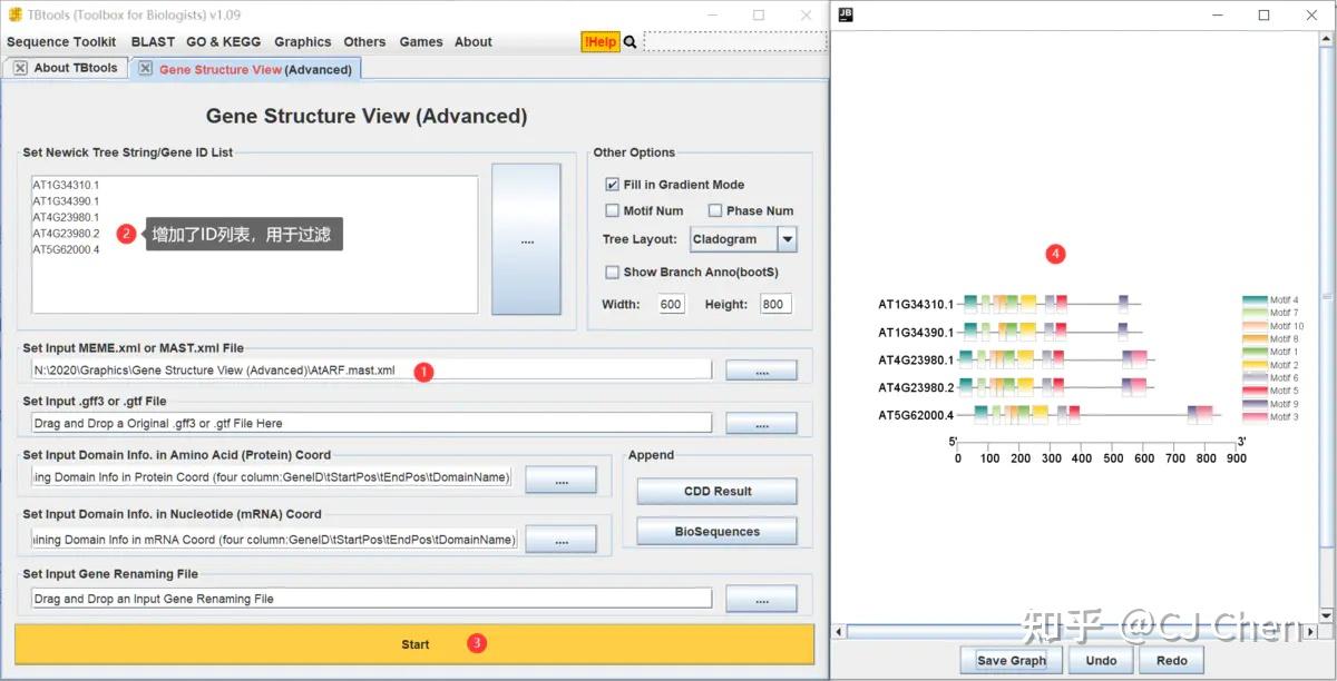 TBtools | 多图合一至强版教程！进化树 + Motifs + 结构域 + 启动子 + 基因结构 + .... - 知乎