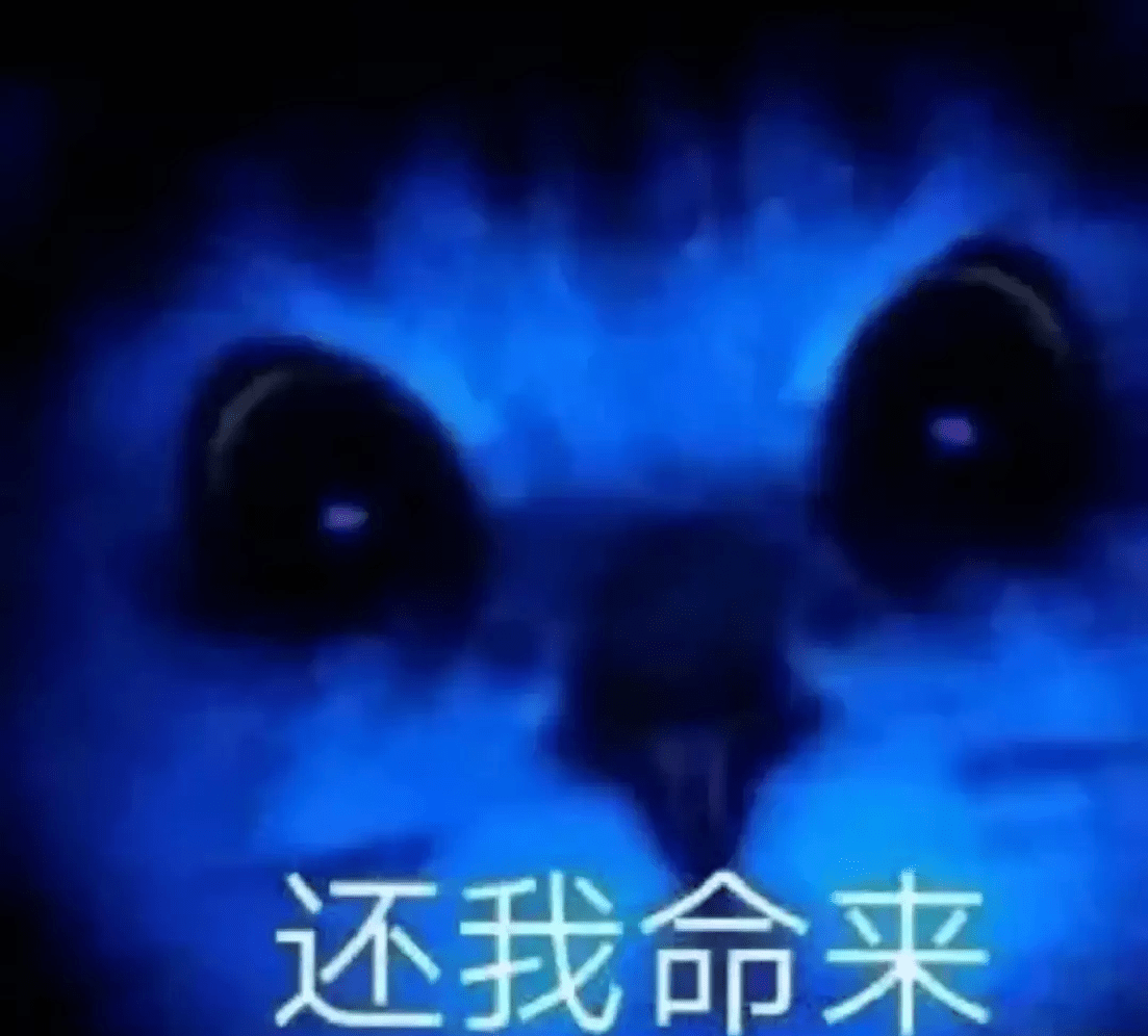 猫咪表情包合集（1）：喵星人表情包，猫表情包，高清无水印 - 知乎