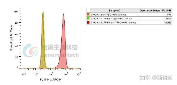 ADC新靶点: TPBG（5T4） - 知乎