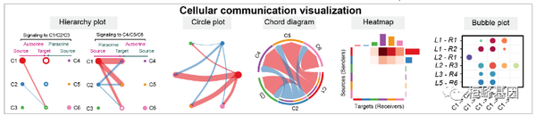 SCS【25】单细胞细胞间通信第一部分细胞通讯可视化（CellChat） - 知乎