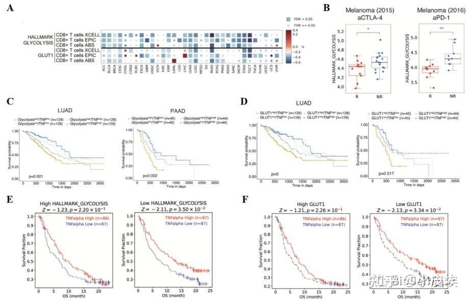 Cell Metabolism | 最新发现：糖酵解助力肿瘤细胞免疫逃逸机制 - 知乎
