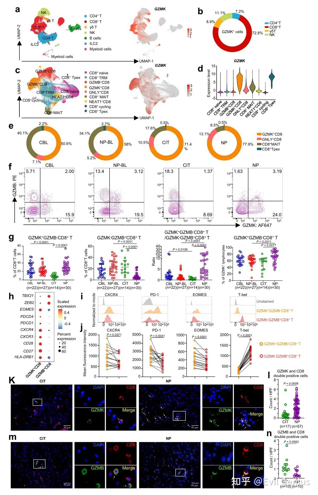 文献分享--颗粒酶K+CD8+ T细胞与成纤维细胞相互作用，促进鼻息肉中性粒细胞炎症（首篇10X HD平台实验类文章） - 知乎