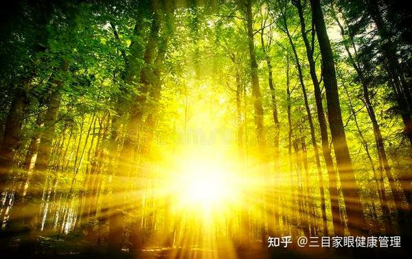 多看绿色真的可以改善视力吗? 知乎