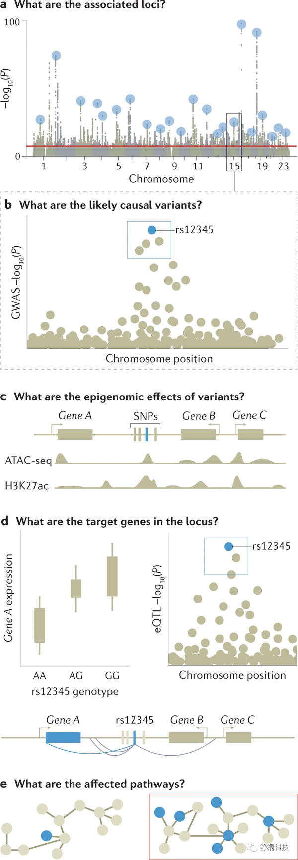 GWAS系列 | 带你读懂全基因组关联研究（二） - 知乎