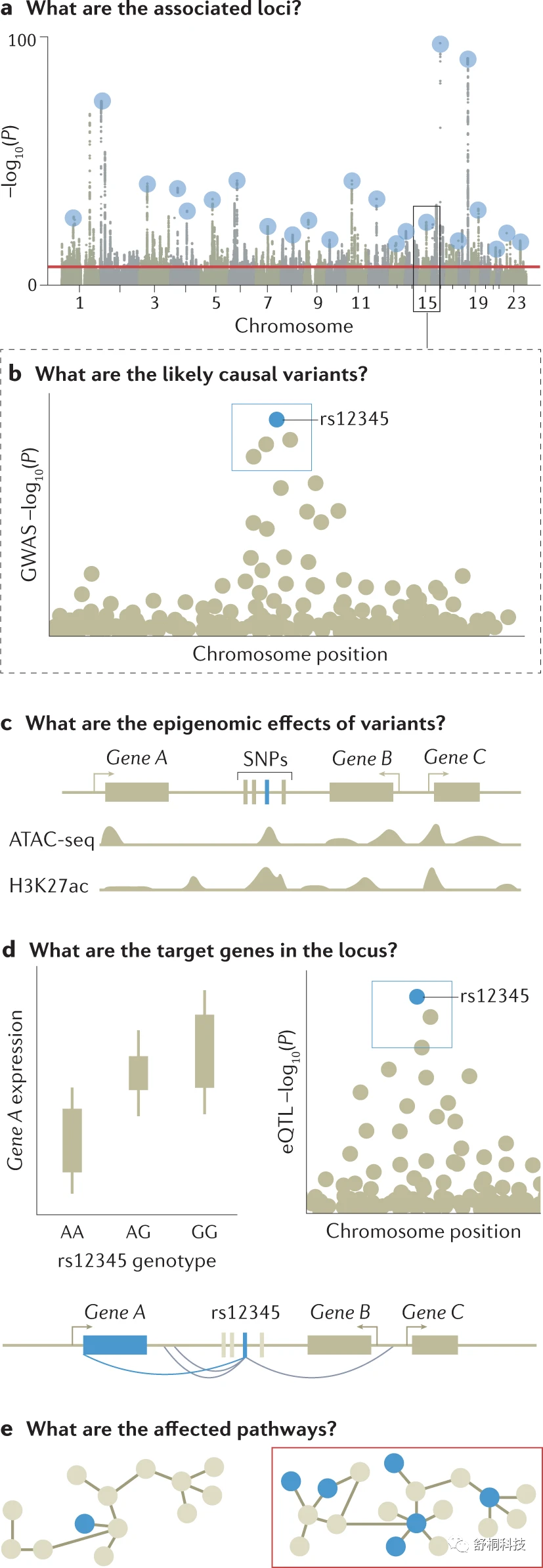 GWAS系列 | 带你读懂全基因组关联研究（二） - 知乎