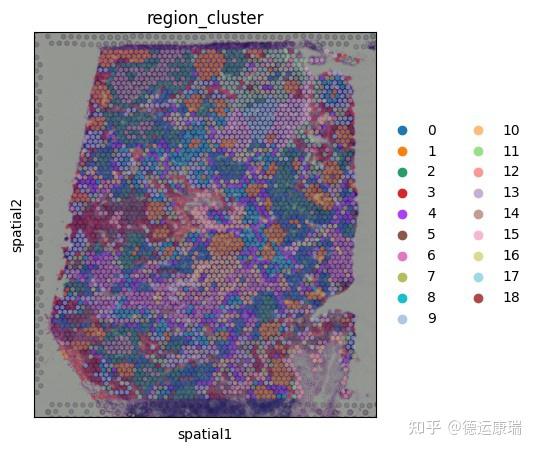聚焦生信 | Cell2location法联合单细胞转录组进行空间转录组细胞类型映射-附代码 - 知乎
