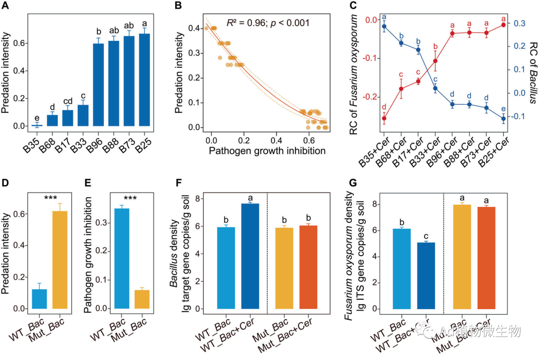 ISME | 南京农业大学研究揭示土壤原生生物与微生物互作影响植物健康！ - 知乎