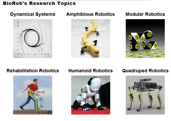 欧洲机器人实验室到底在研究什么？浅析其研究进展 - 知乎