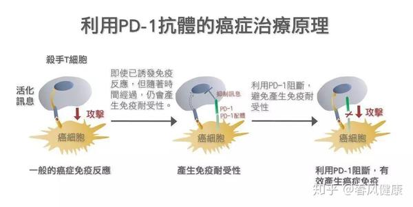 K药（Keytruda）终于来啦，国内癌症患者又多了一款神药 - 知乎