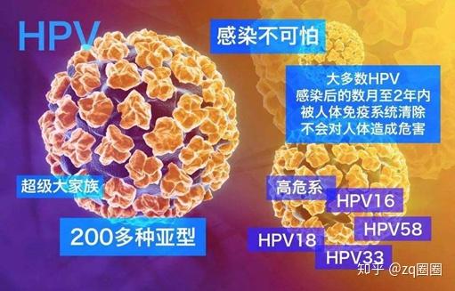 HPV检查方法有哪些？ - 知乎