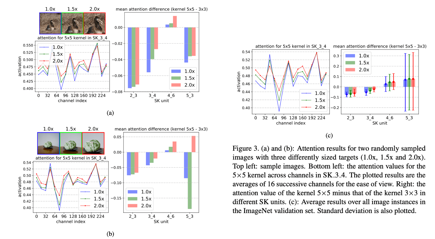组会汇报：（SKNet）Selective Kernel Network 解析 - 知乎