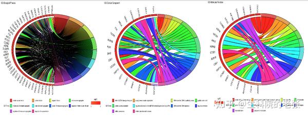 最全的GO, KEGG, GSEA分析教程(R),你要的高端可视化都在这啦！[包含富集圈图] - 知乎