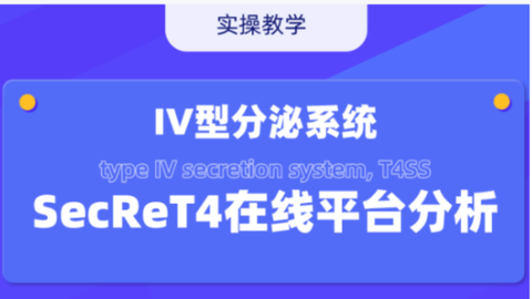 Type IV secretion system, T4SS知识介绍2 - 知乎