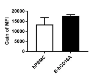 靶向CD16A，激活先天免疫系统的ADCC效应 - 知乎