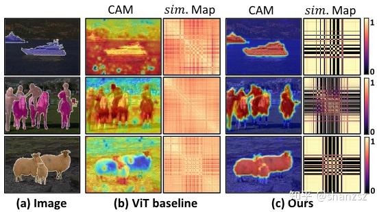 Papers - Token Contrast for Weakly-Supervised Semantic Segmentation - 知乎