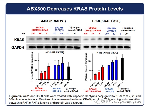 Aro Biotherapeutics：基于Centyrin库的双靶点寡核苷酸药物ABX300 - 知乎