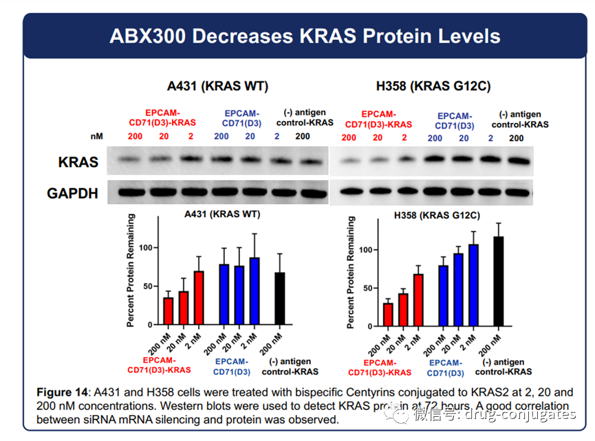 Aro Biotherapeutics：基于Centyrin库的双靶点寡核苷酸药物ABX300 - 知乎