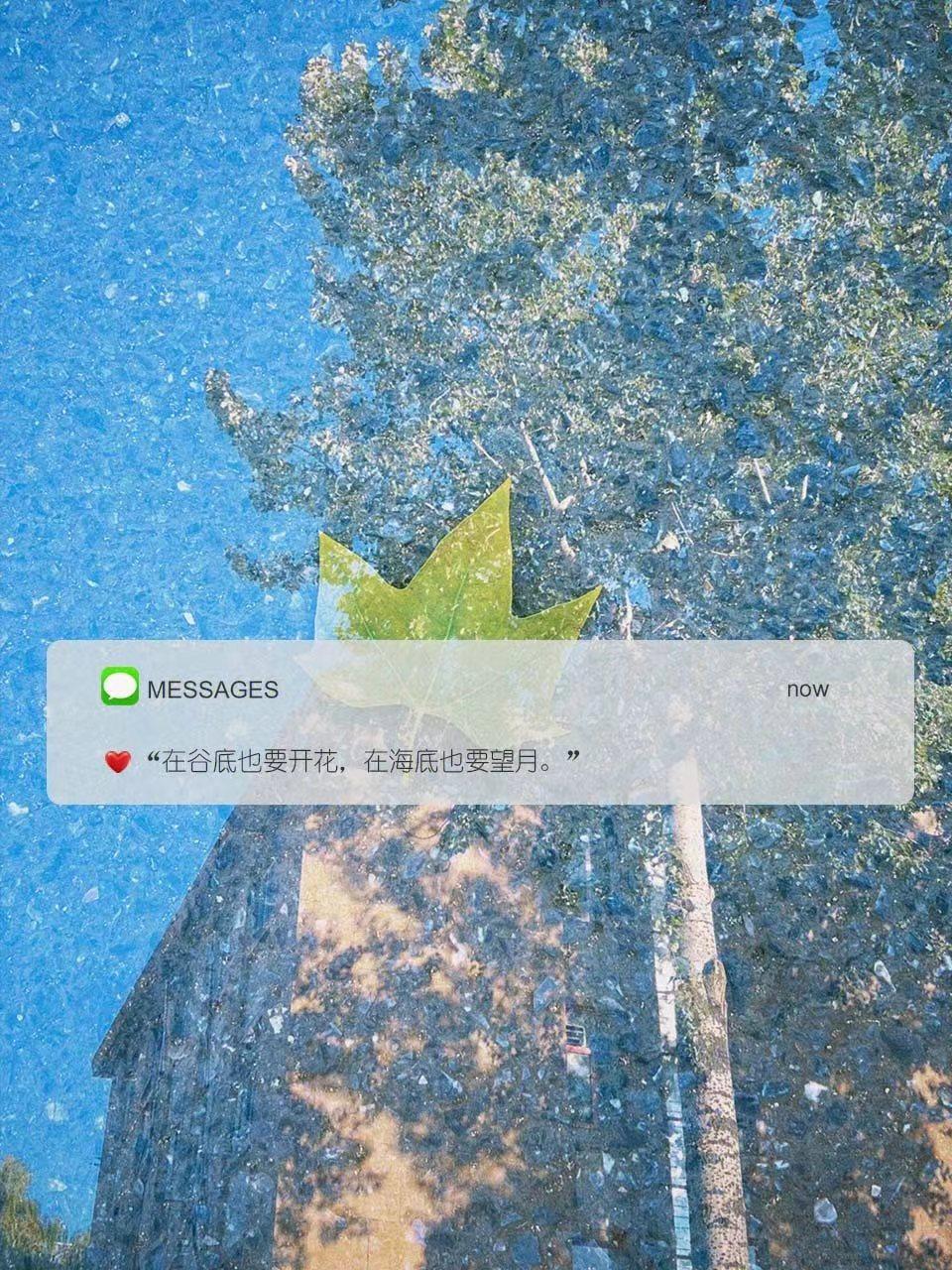 干净治愈的文案总有人间一两风 知乎