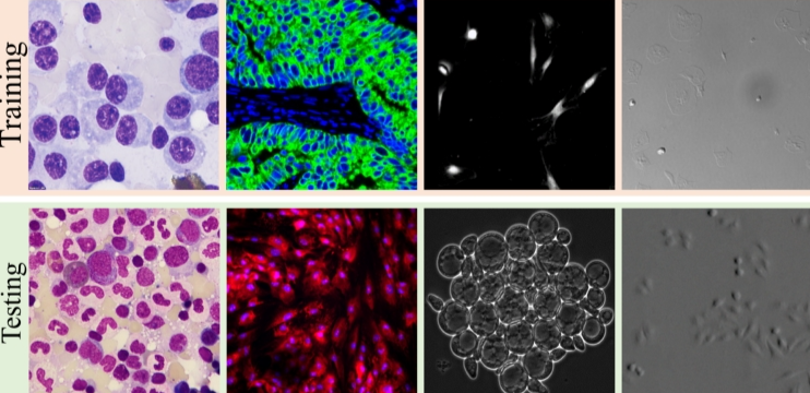 NeurIPS 2022 Cell Seg 数据集介绍 - 知乎