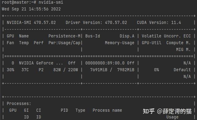 查看gpu的使用率 知乎 