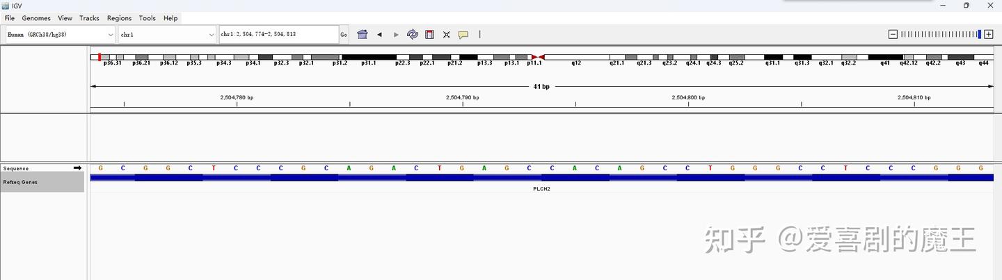 生信软件——IGV（Integrative Genomics Viewer）：基因组数据可视化工具 - 知乎
