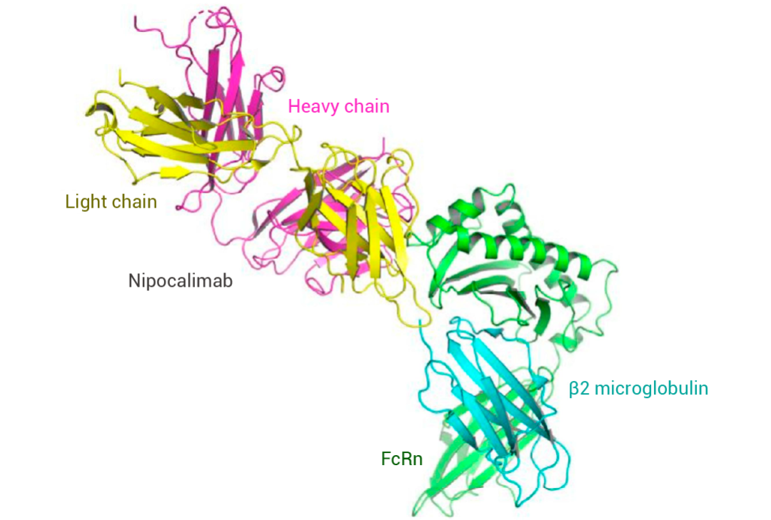 2025 年 FDA 获批药物有哪些 (上)_MedChemExpress(MCE中国) - 知乎