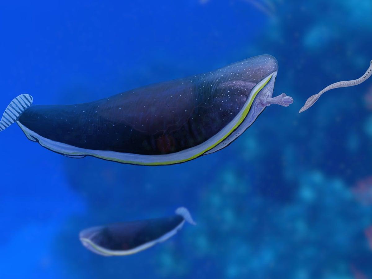 以万妖之祖命名的古生物妖孽“提丰怪物”，真身竟是它…… - 知乎