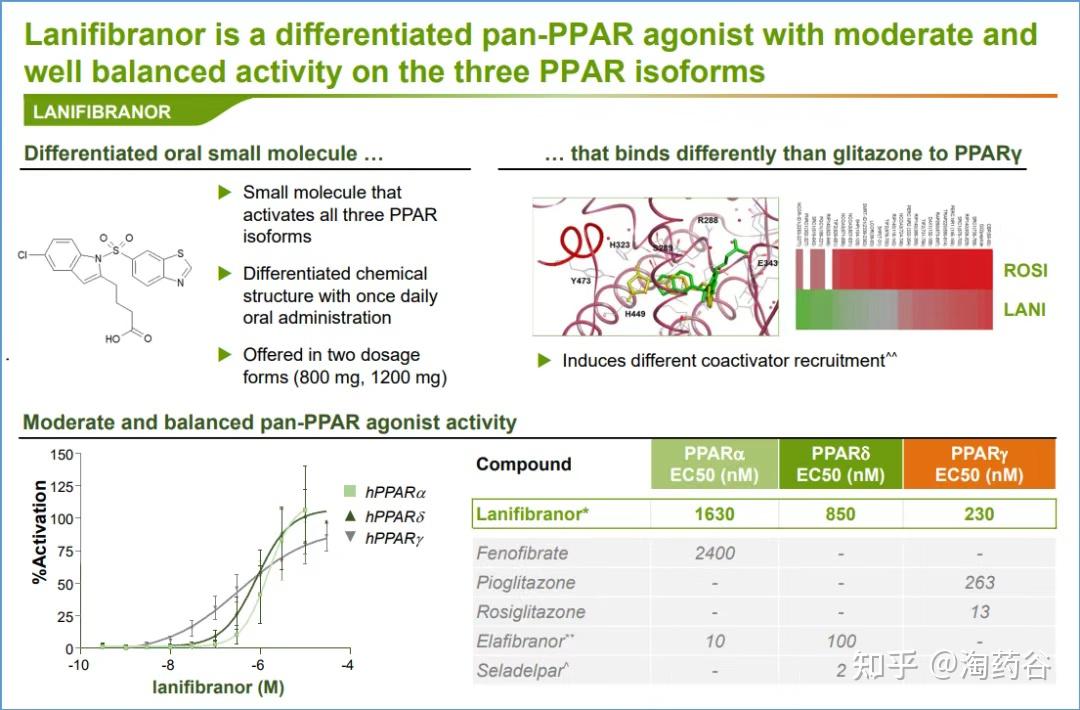 PPAR激动剂lanifibranor，用于治疗大中华区（中国大陆、香港、澳门和台湾）的非酒精性脂肪性肝炎 - 知乎