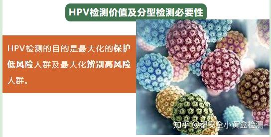 宫颈癌筛查自检,都安全hpv分型检测28种分型 知乎