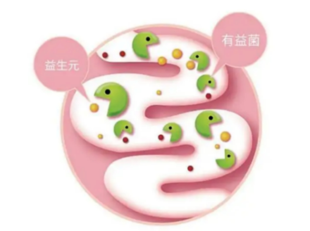 【内调】Chellane益生菌软糖，养出自然美肌～ - 知乎