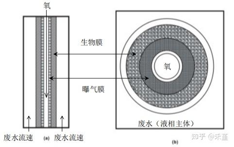 高级废水生物处理 | 2.3 城镇污水中的除磷技术 膜生物技术 - 知乎