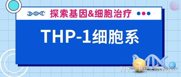 THP-1细胞系在免疫与炎症研究中的应用 - 知乎