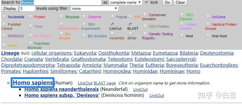 NCBI物种分类数据库（Taxonomy） - 知乎