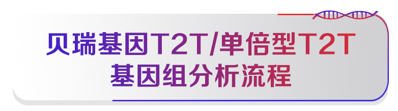T2T基因组新突破：从小基因组到大基因组的跨越 - 知乎