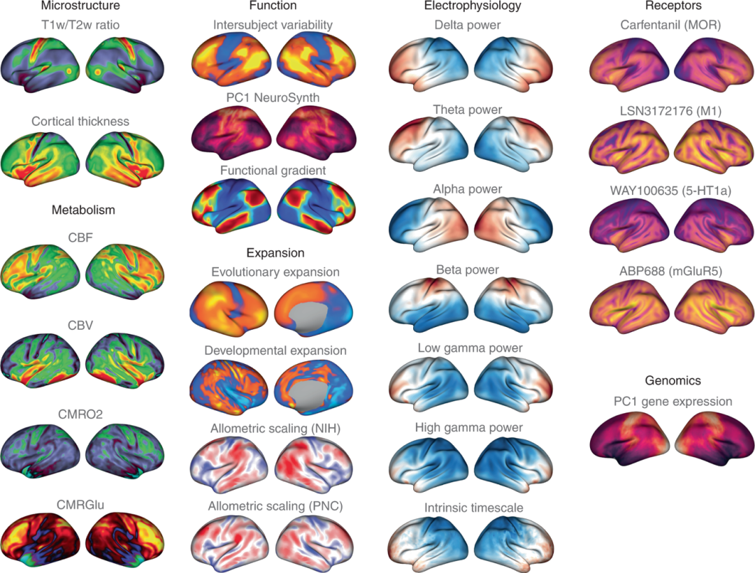 Nat Methods最新发布：多模态、多尺度脑科学数据综合分析的利器——neuromaps - 知乎