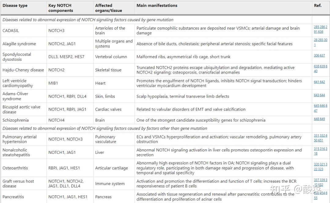 华中科技大学课题组在38分的STTT发表超重磅综述，带你详解这一经典热门通路！ - 知乎