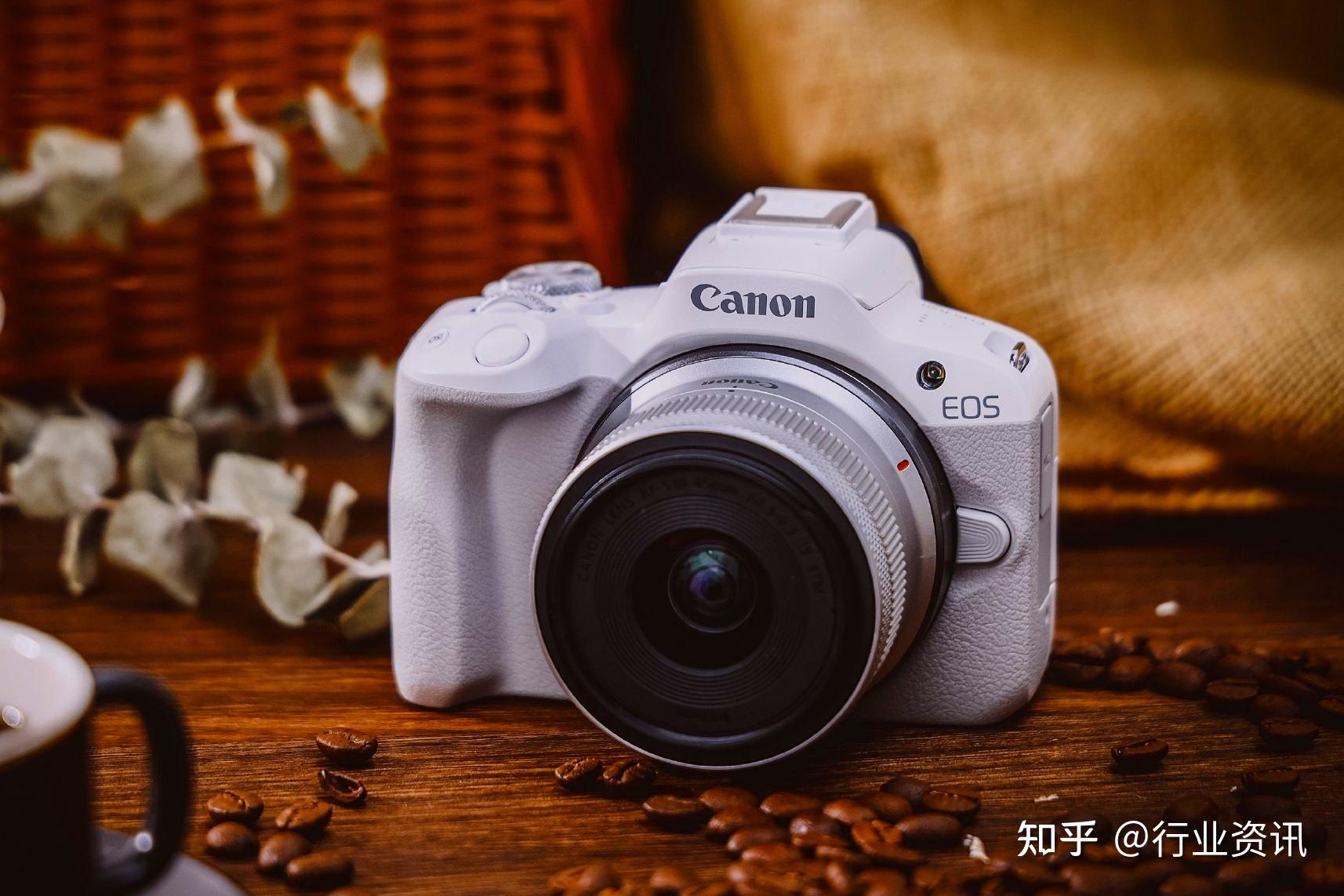 佳能上市时间较新的三款微单：R6 II、R8和R50各有什么优缺点？ - 知乎