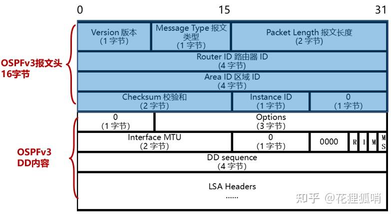 OSPFv3报文格式 - 知乎