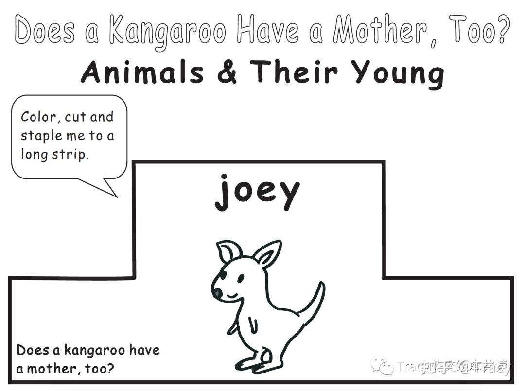 英文绘本推荐 亲子共读9：Does kangaroo have a mother, too？解读和拓展（母亲节快乐！） - 知乎