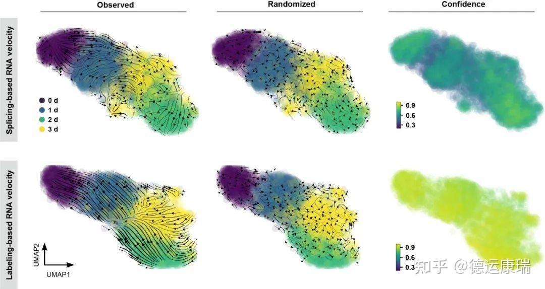 真时动态，尽在掌握！Well-TEMP-seq单细胞动态转录组测序 - 知乎