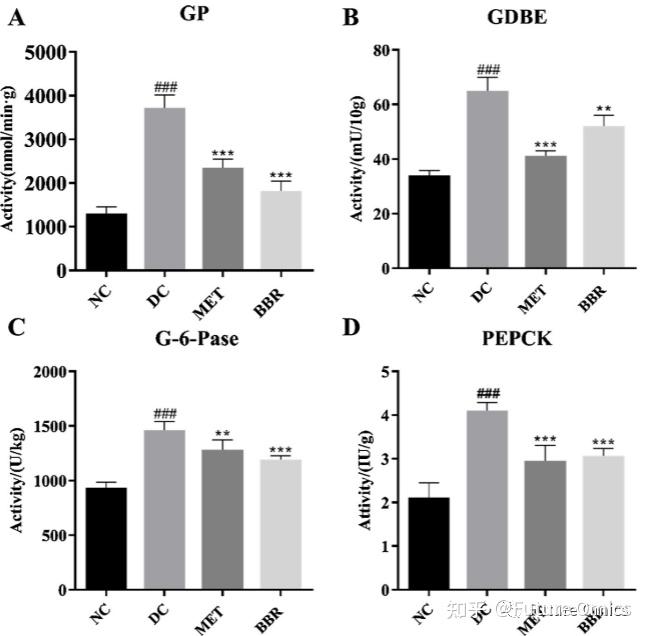 【二甲双胍】华中科技大学：二甲双胍和小檗碱在db/db小鼠中通过抑制糖原磷酸酶和稳定糖原分子结构来抑制糖原分解 - 知乎