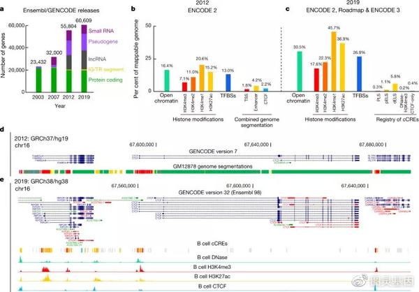 Nature |DNA元件百科全书（ENCODE）计划, 全面注释基因组元件 - 知乎