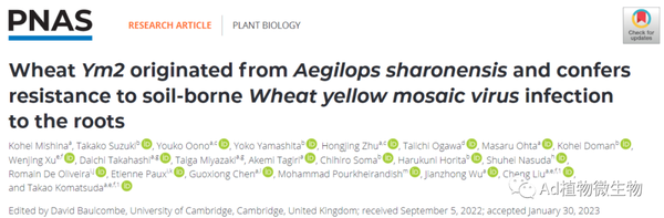 PNAS | 研究揭示保护小麦免受土传病原体侵害的抗性根源！ - 知乎