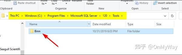bartender安装完以后提示localDB错误#6234 - 知乎