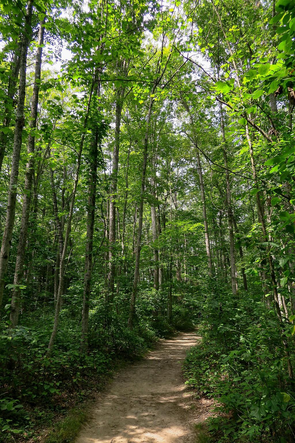 长点步道（Long Point Trail） - 知乎