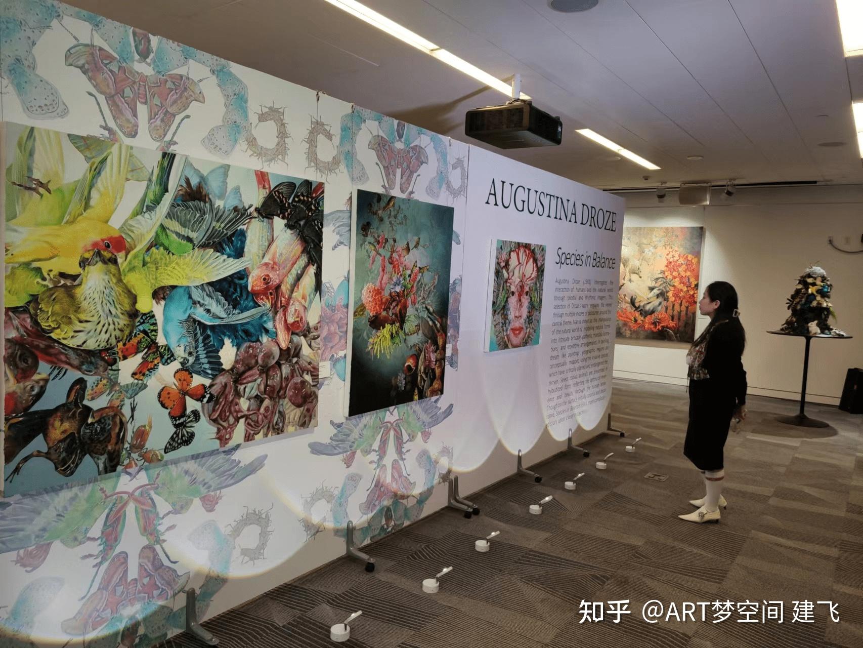 平行物种“Species in Balance” Augustina Droze 奥古丝汀娜艺术展 - 知乎