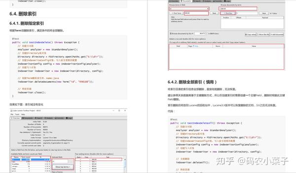 Lucene高级学习文档看完已经跪了，真的强 - 知乎