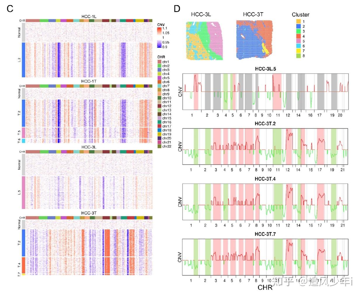 时空CNV分析导论 - 知乎