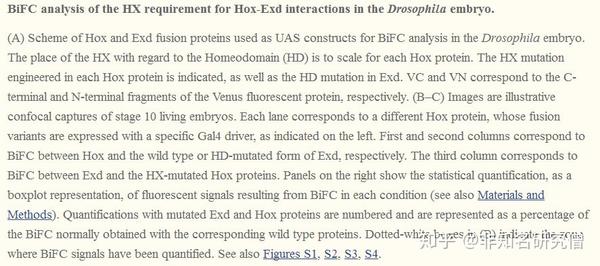 [技能分享]双分子荧光互补技术BiFC - 知乎