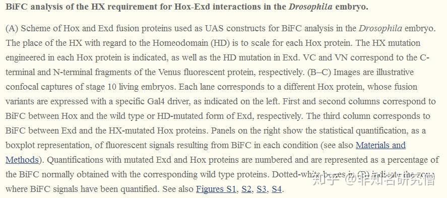 [技能分享]双分子荧光互补技术BiFC - 知乎